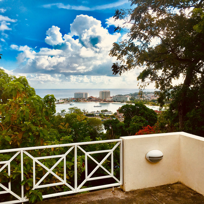 PURPLE REVOLUTIONARIES | CARBEE