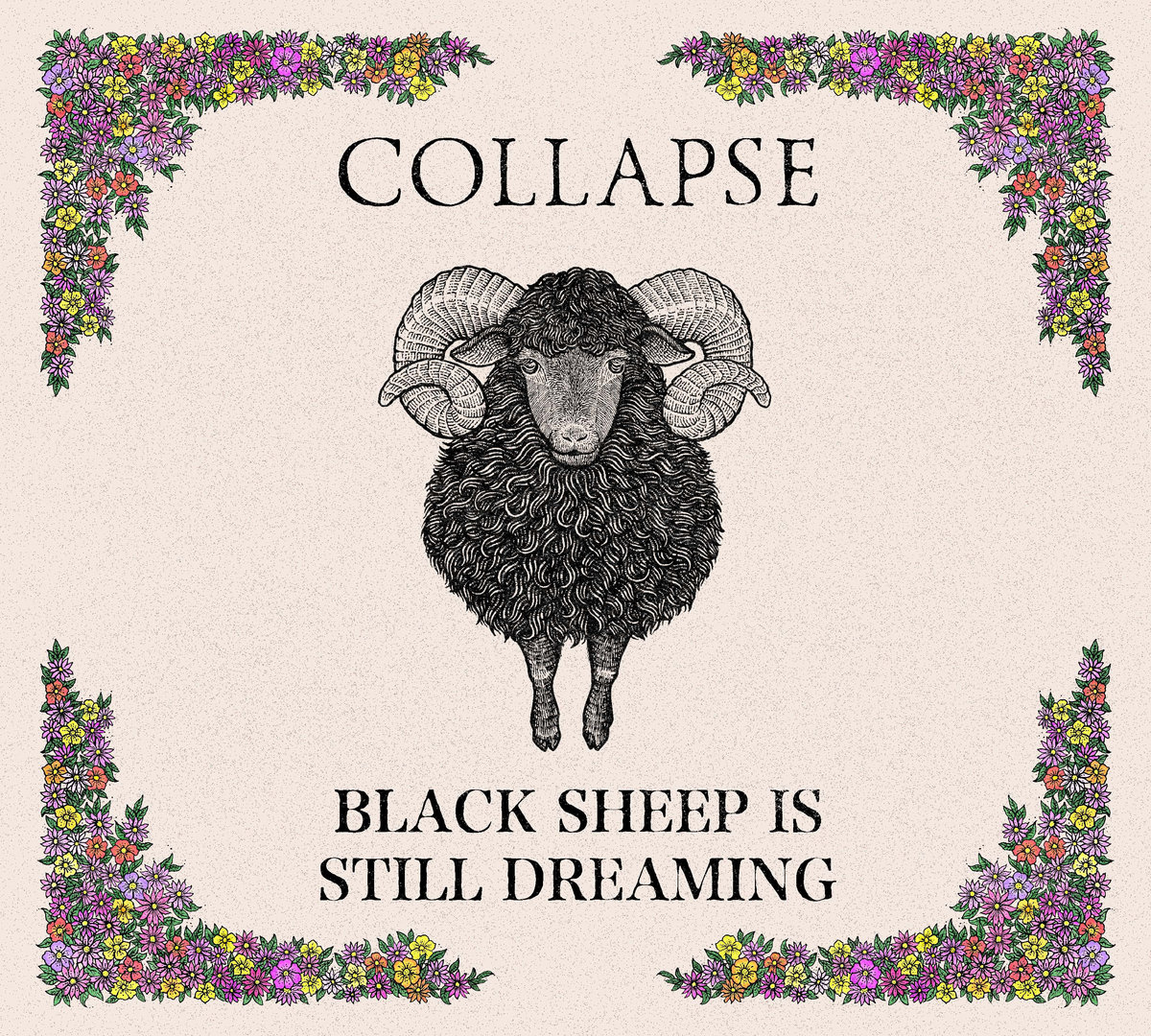 BLACK SHEEP IS STILL DREAMING | COLLAPSE