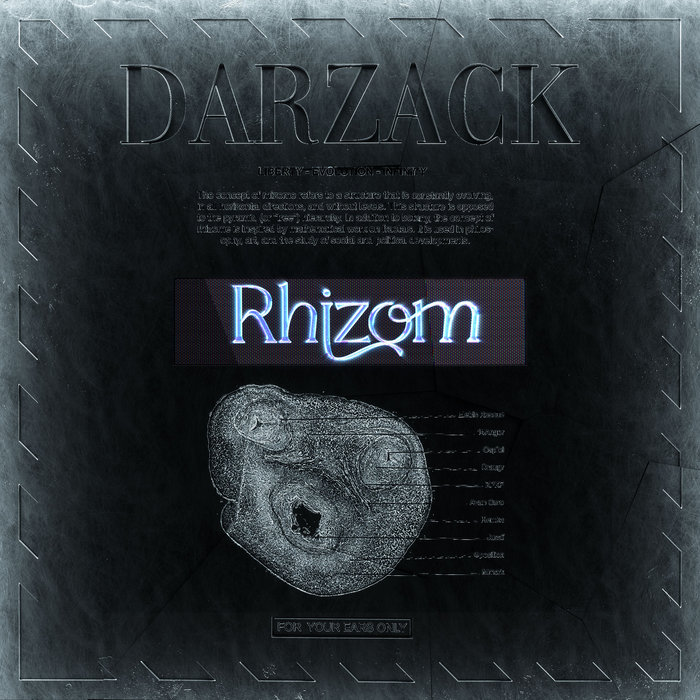 Rhizom | Darzack