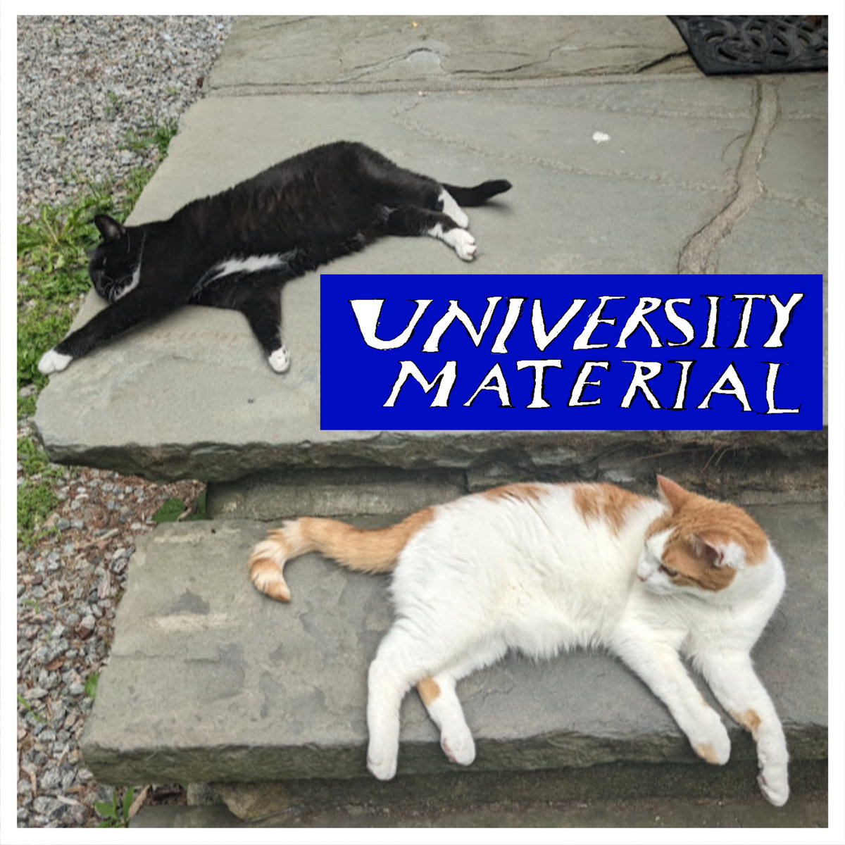 University Material | University Material