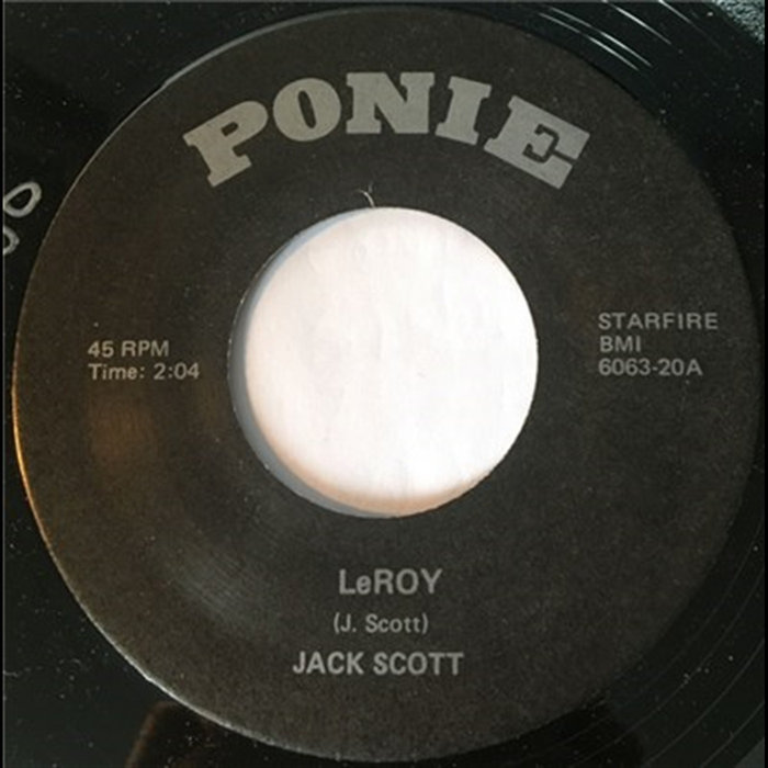LeRoy Go Wild Little Sadie | Jack Scott