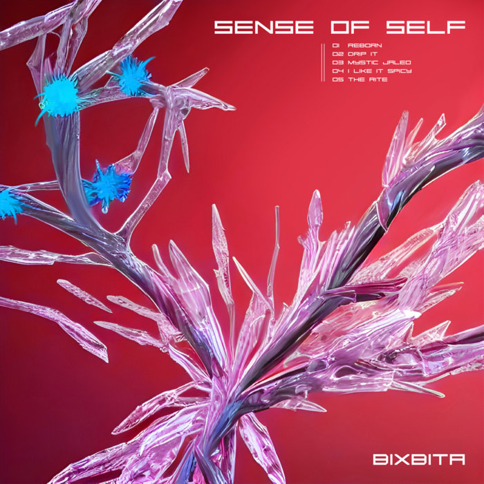 SENSE OF SELF EP | BIXBITA