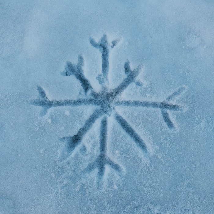 winter's offering (feat. Sofia Wells, Rowan Wells) | CHRISTA WELLS