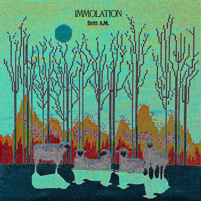 Immolation Discography