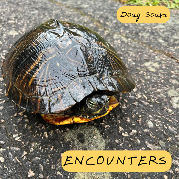 Sand Piper | Doug Sours