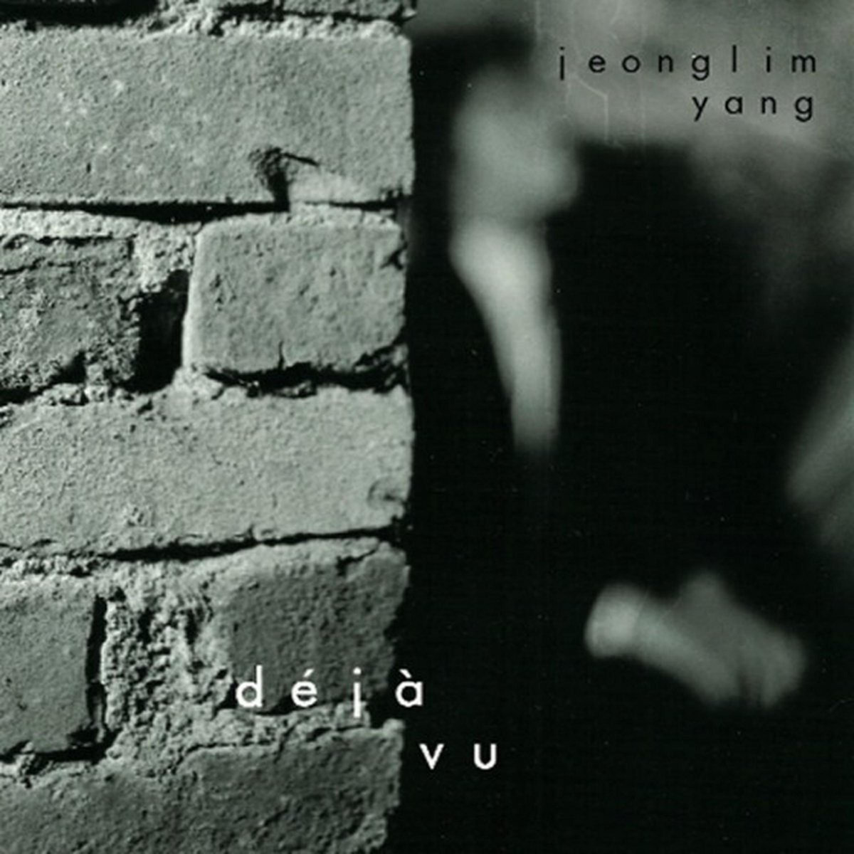 Déjà Vu | jeong lim yang