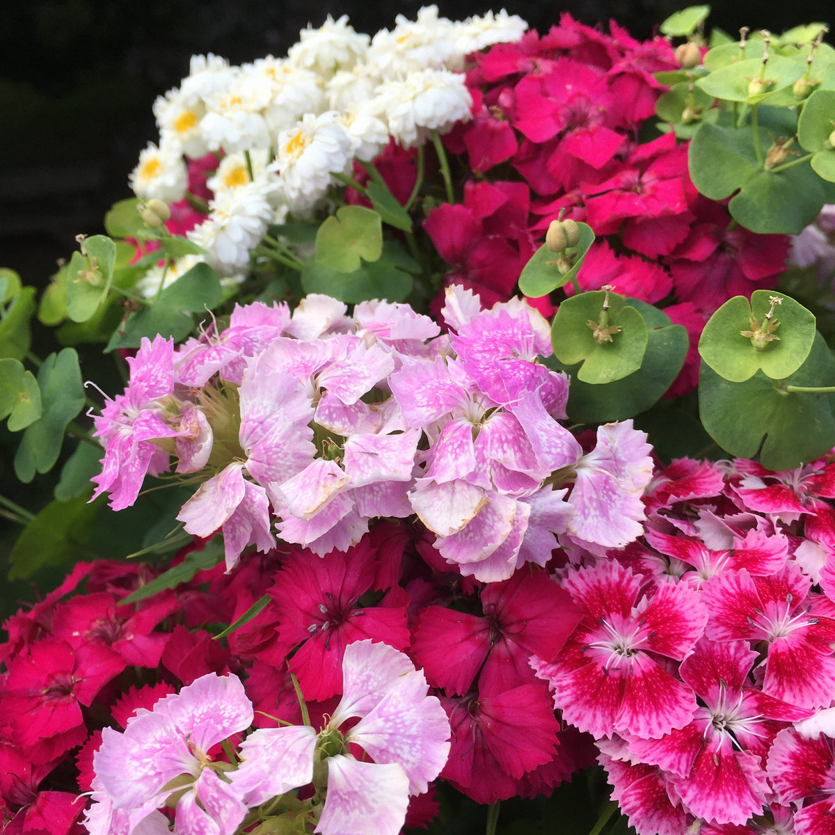 Losing You | Henry Hopf