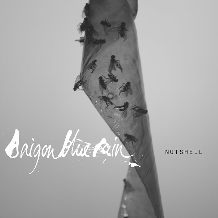 Nutshell | Saigon Blue Rain
