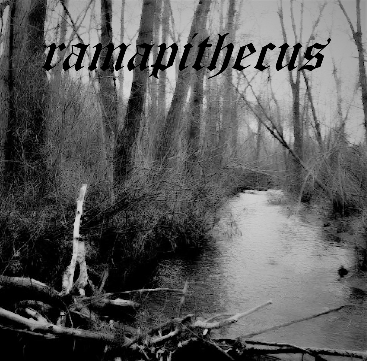 Survival of the Fittest | Ramapithecus