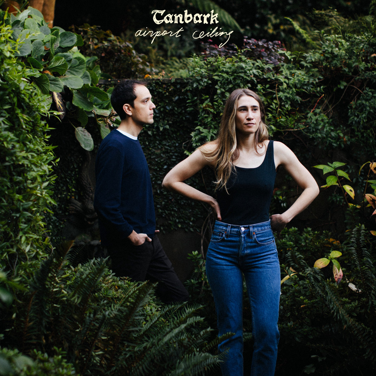 Airport Ceiling | Tanbark