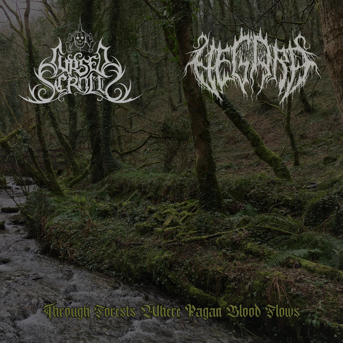 Through Forests Where Pagan Blood Flows | Vegard / Cursed Scrolls ...