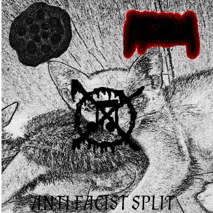 MxRxOx / AxMx SPLIT | MUTILATEDxROTTENxORGANS