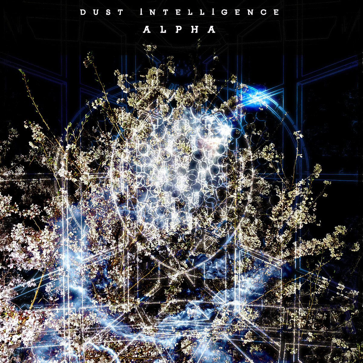 Dust Intelligence ALPHA | KK NULL