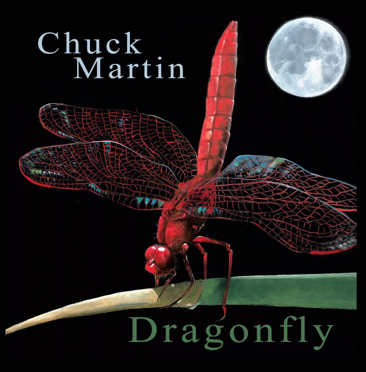 Dragonfly | Chuck Martin