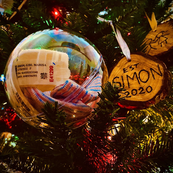 Simon Family Holiday Spectacular | The Simon Family