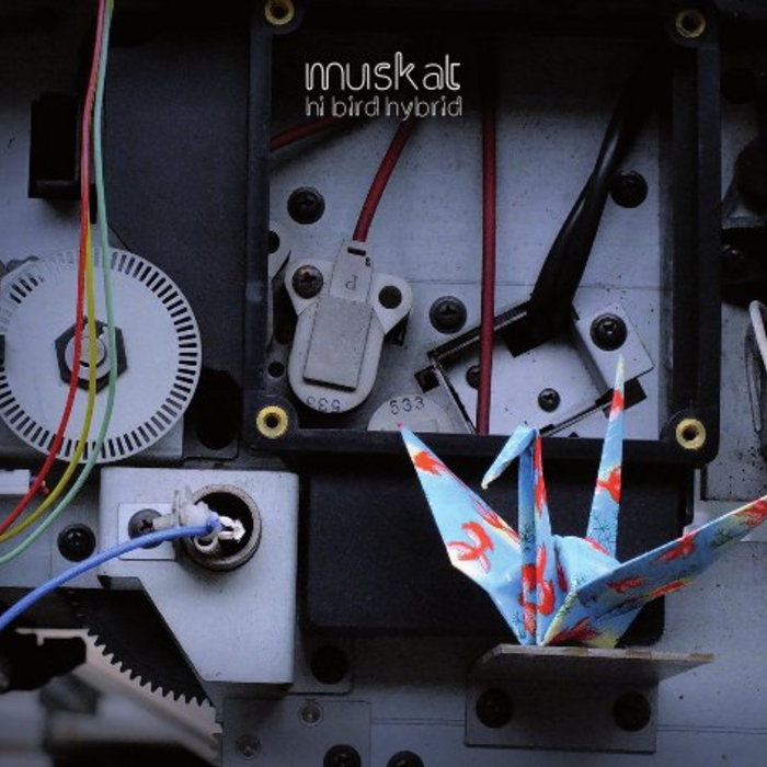 Hi Bird Hybrid | muskat