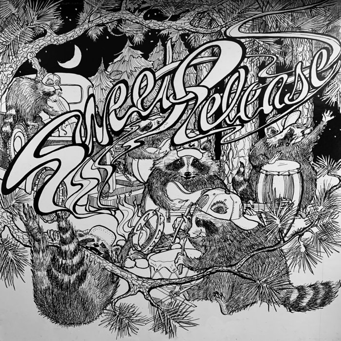 Who Was That Masked Band? | Sweet Release