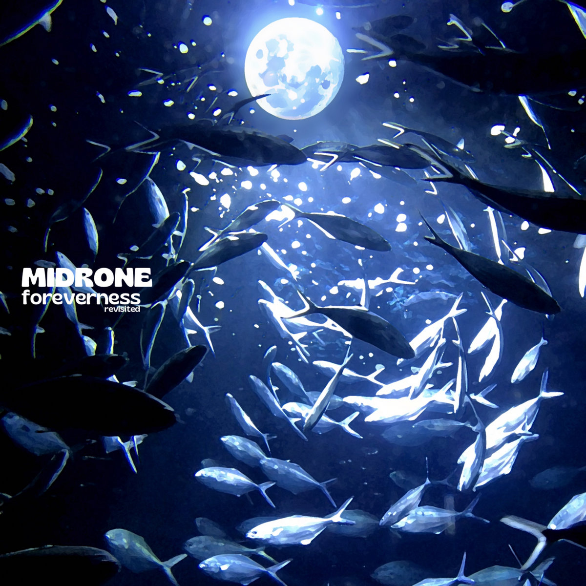 Many ways to say goodbye | Midrone