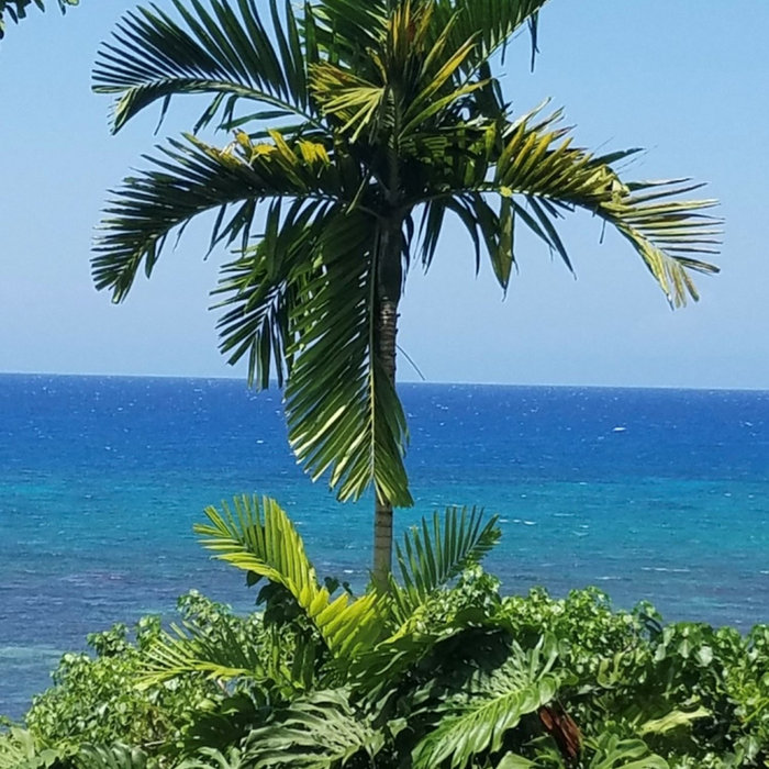 Summertime Love Song | Steve Ford