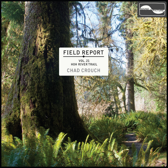 Field Report Vol. 21: Hoh River Trail | Chad Crouch