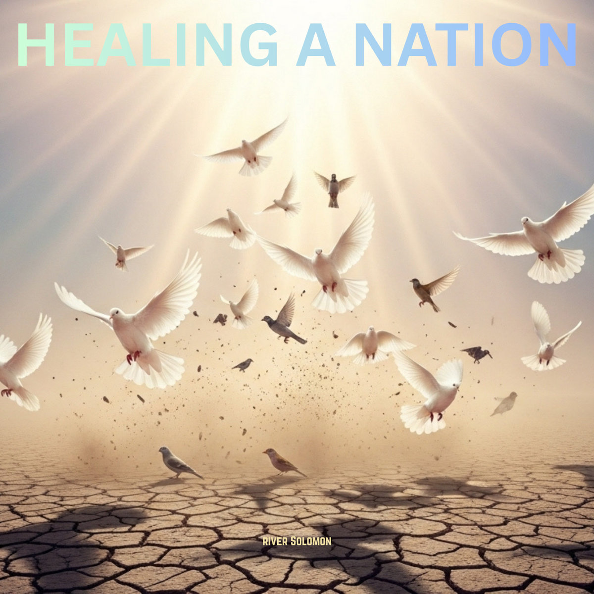 HEALING A NATION | River Solomon Group