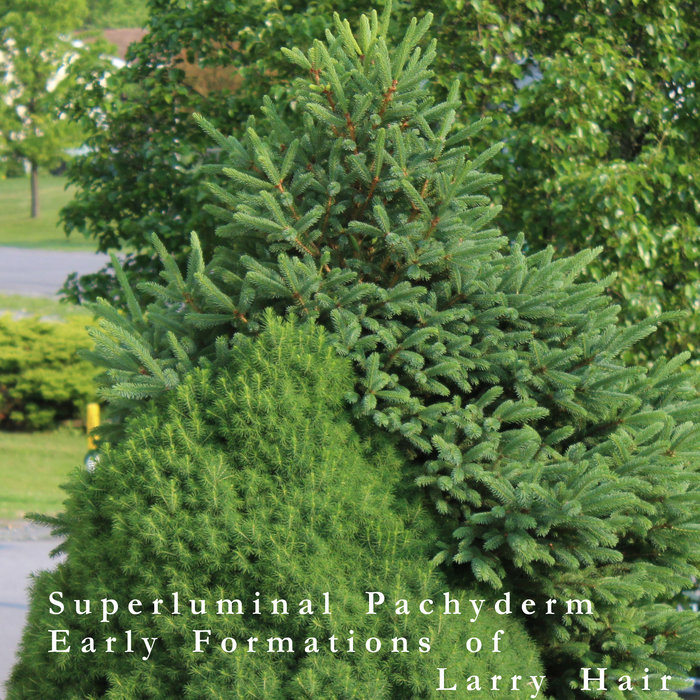 Early Formations of Larry Hair | Superluminal Pachyderm