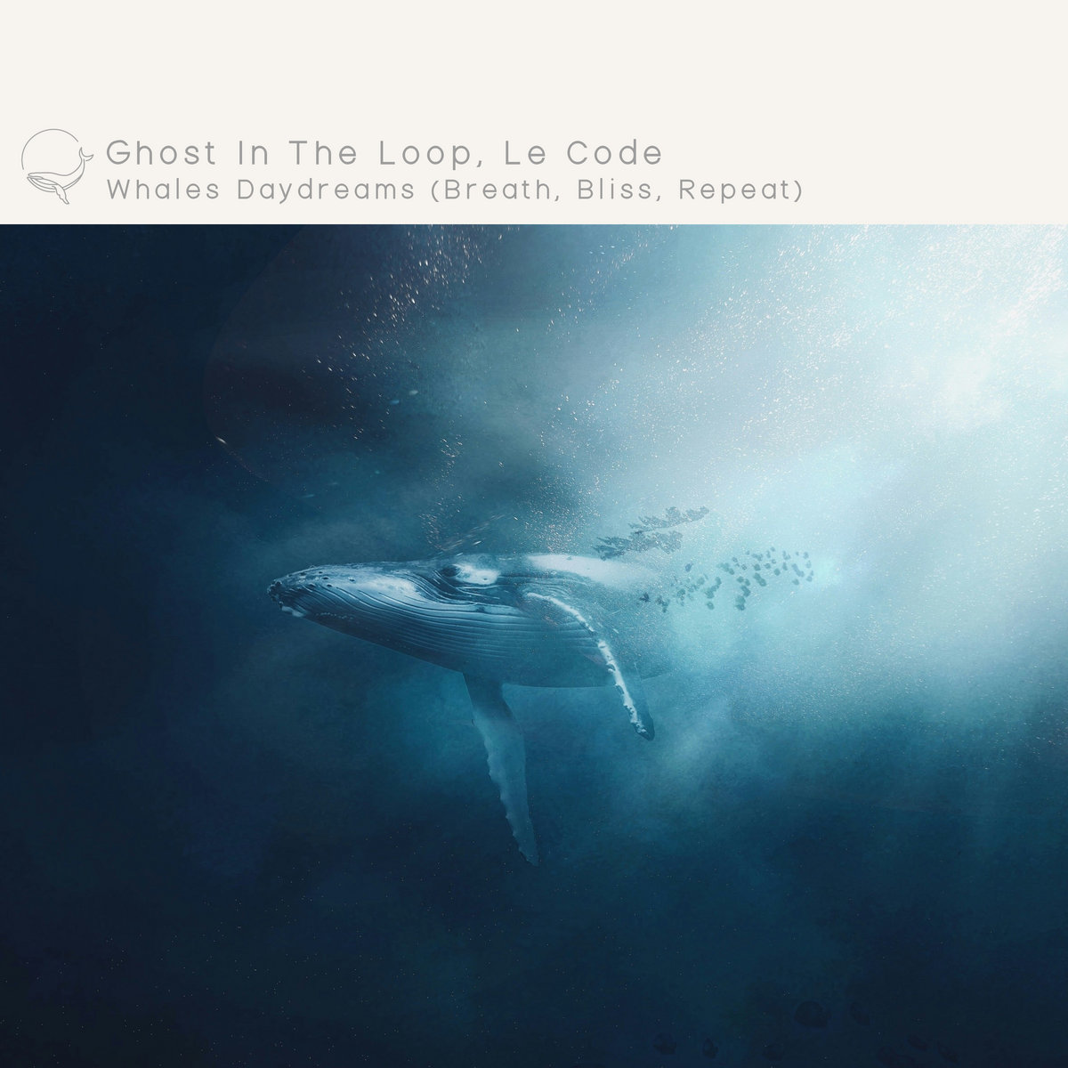 Whales Daydreams (Breath, Bliss, Repeat) | Le Code, Ghost In The Loop | Le Code