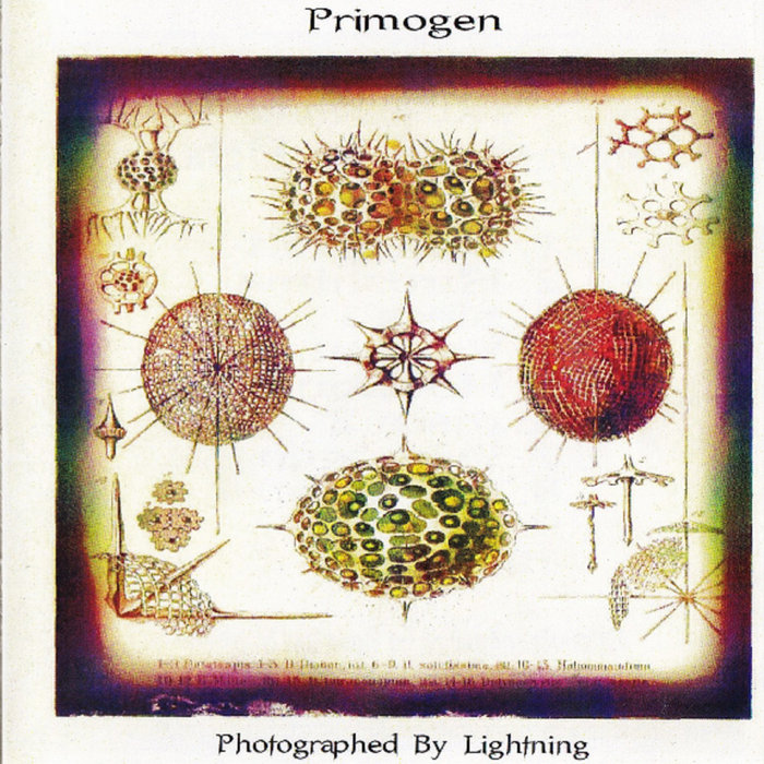 Primogen | Photographed by Lightning | Photographed By Lightning
