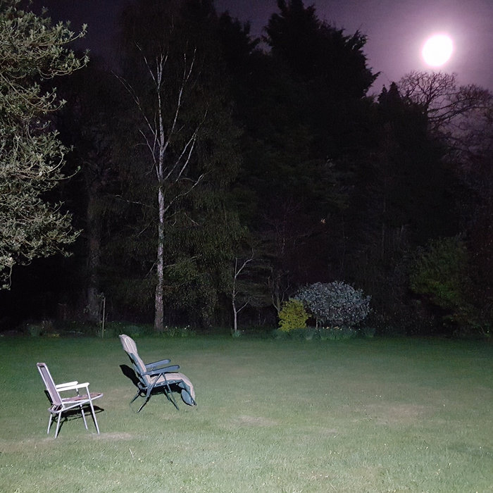 Alternate Your Dog | Jet Pack Dog