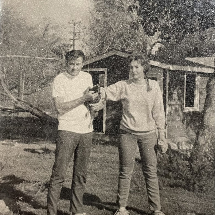 There Are Hummingbirds | Andrew Victor