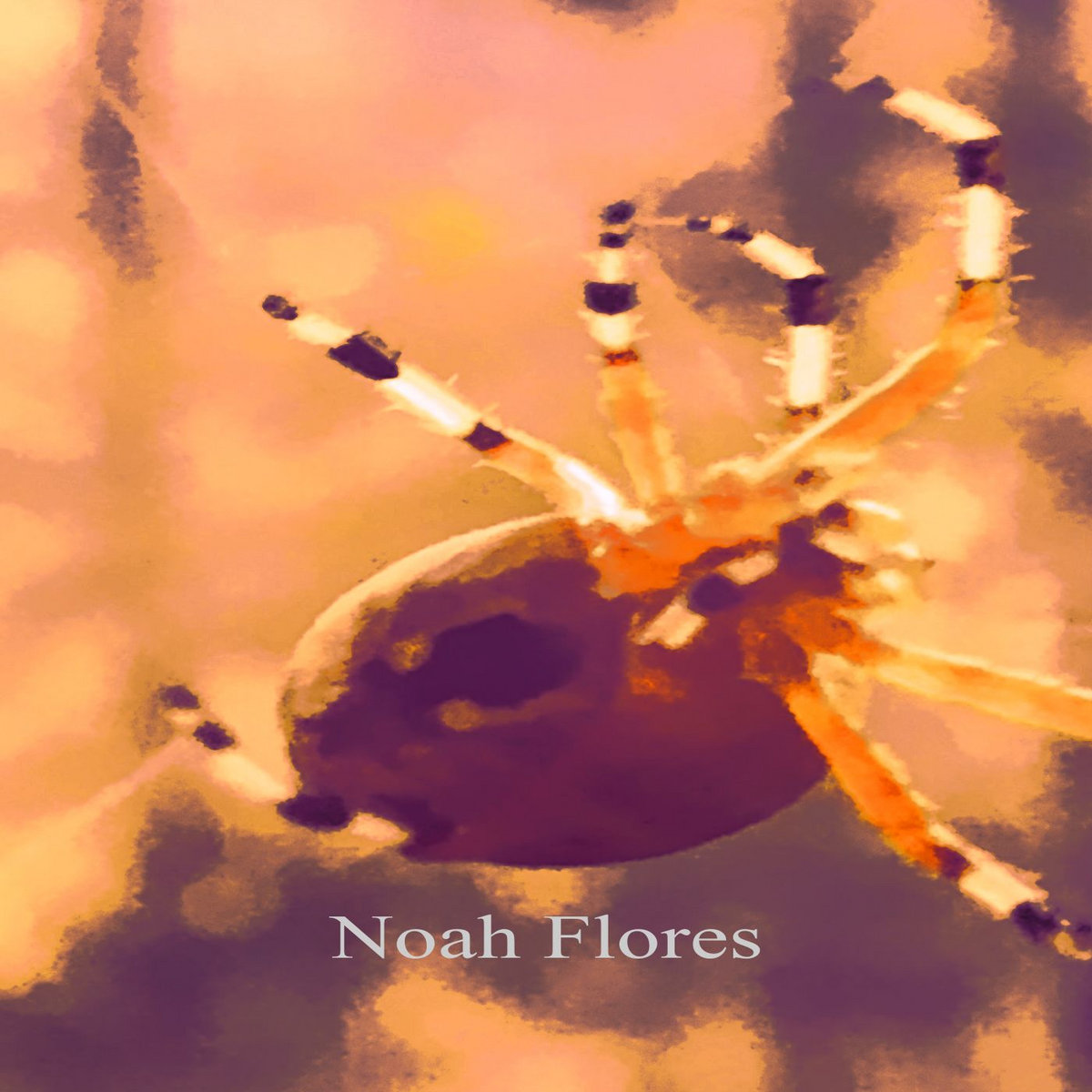 Nature | Noah Flores