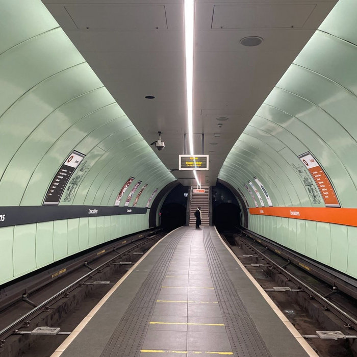 Doors of Perplexion | Perplexed