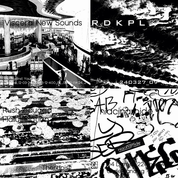 Four FLACs Split - Visceral New Sounds / RDKPL / Rush Induced Hallucination / Niacinamide ...