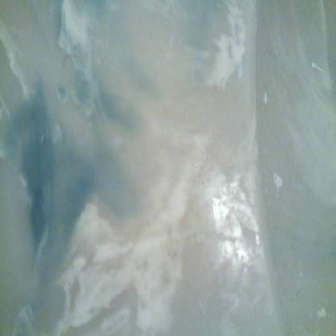 Evolution Evaluation | Ethan Slaughter