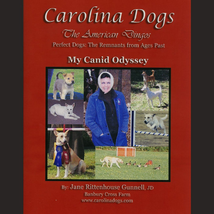 Carolina Dogs | Jane Gunnell