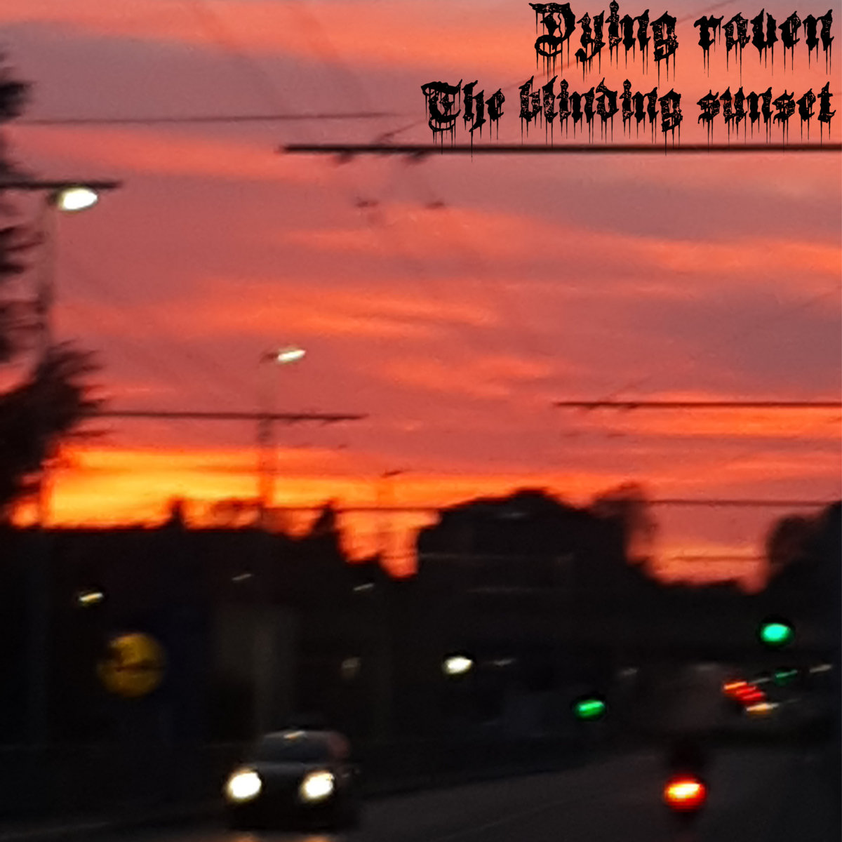 The blinding sunset | Dying raven
