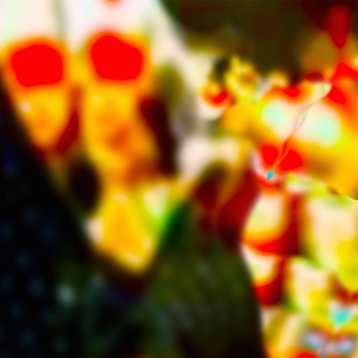 Indian Toe Mix | Indian Toenail | Nacadamia Nutcase