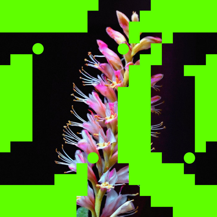 Better O'be New (+Roy Rosenfeld Remix) | Budakid feat. Rromarin | Budakid