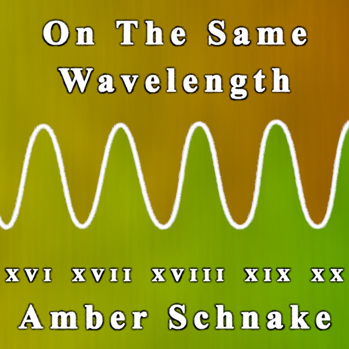 On The Same Wavelength | Amber Schnake