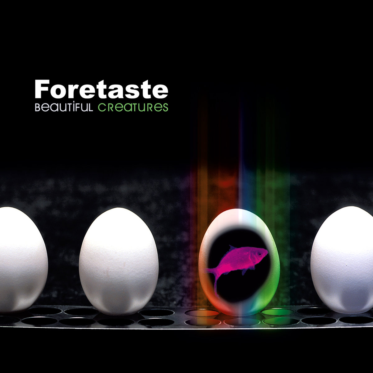 Beautiful Creatures (Album) | Foretaste | BOREDOMproduct