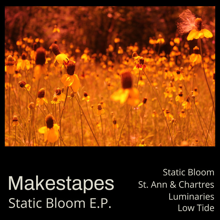 Static Bloom E.P. | Makestapes