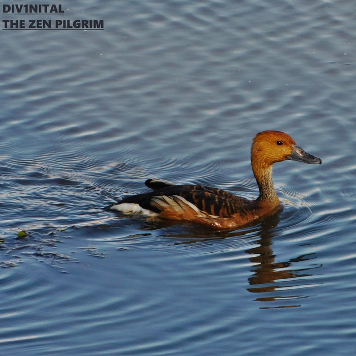 The Zen Pilgrim | Birth Chord