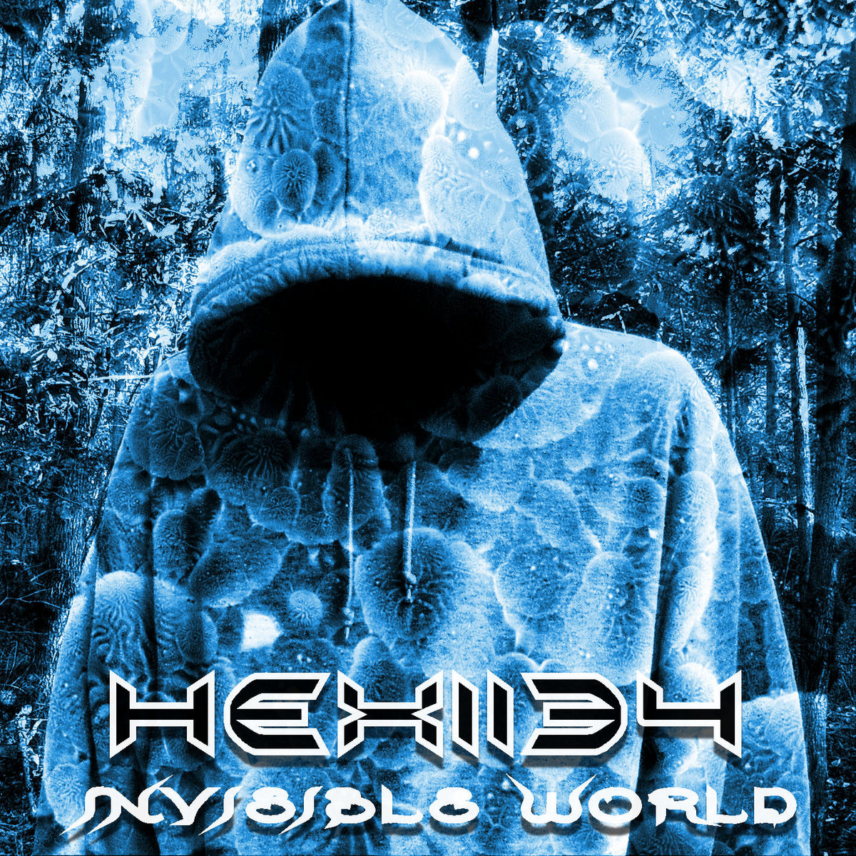 Invisible World | Hex1134