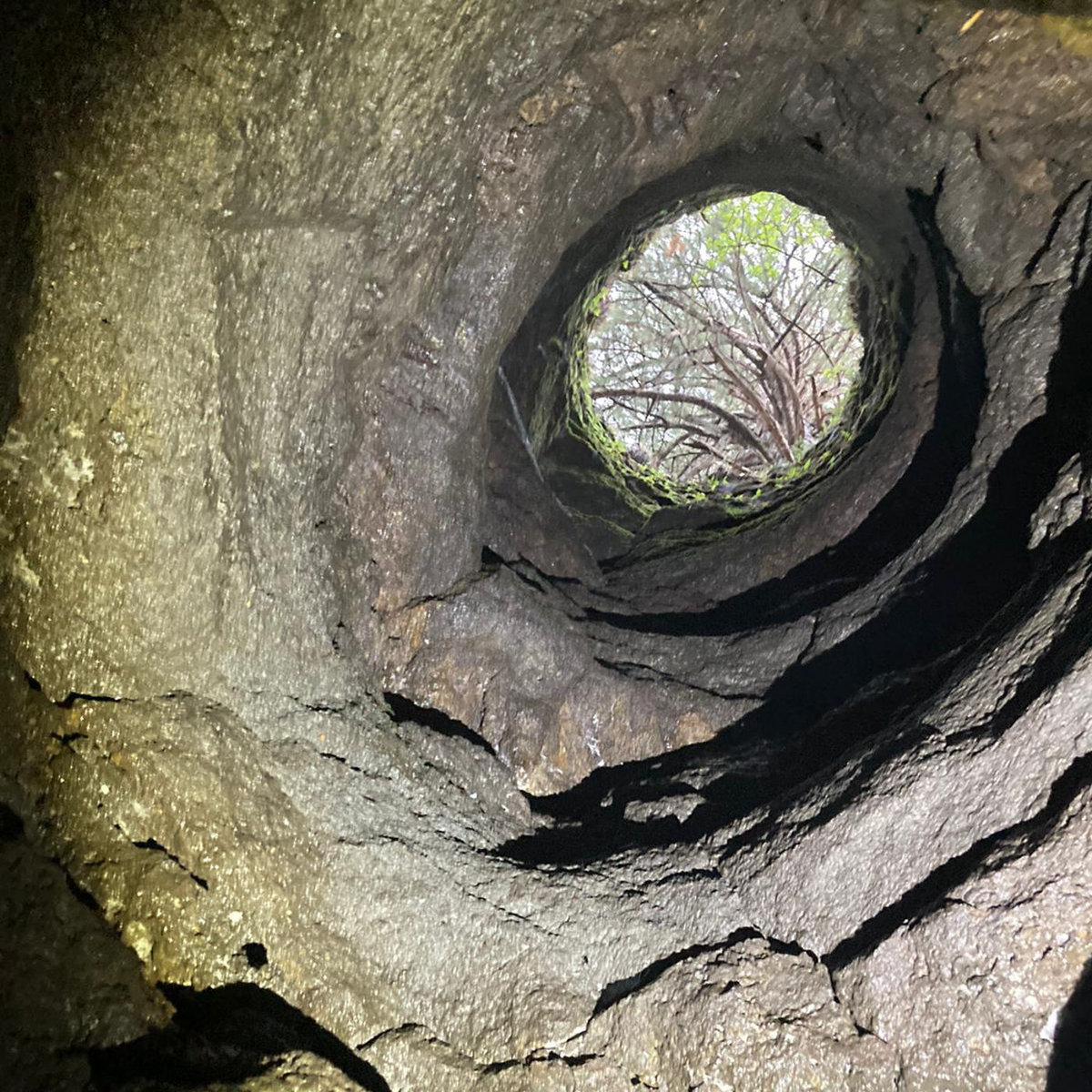 Torakiki's slow trip | Acid soniX