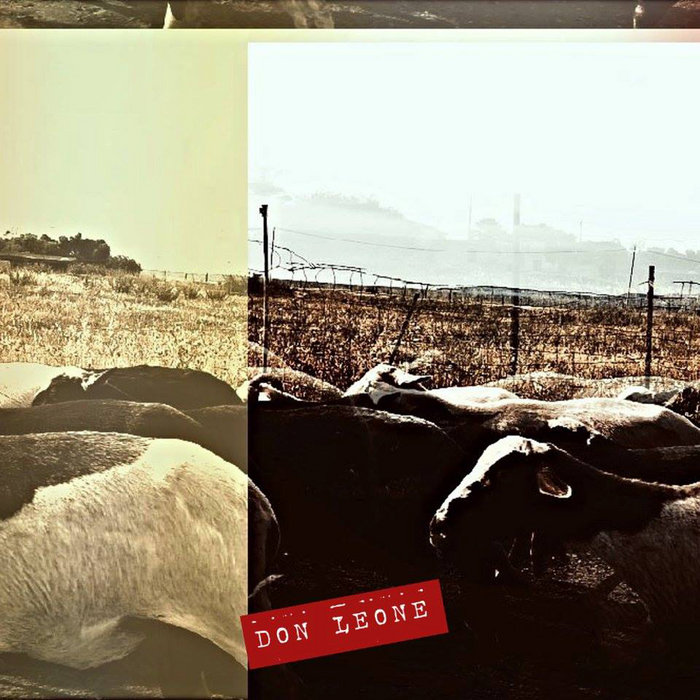 DON LEONE | Don Leone | DON LEONE