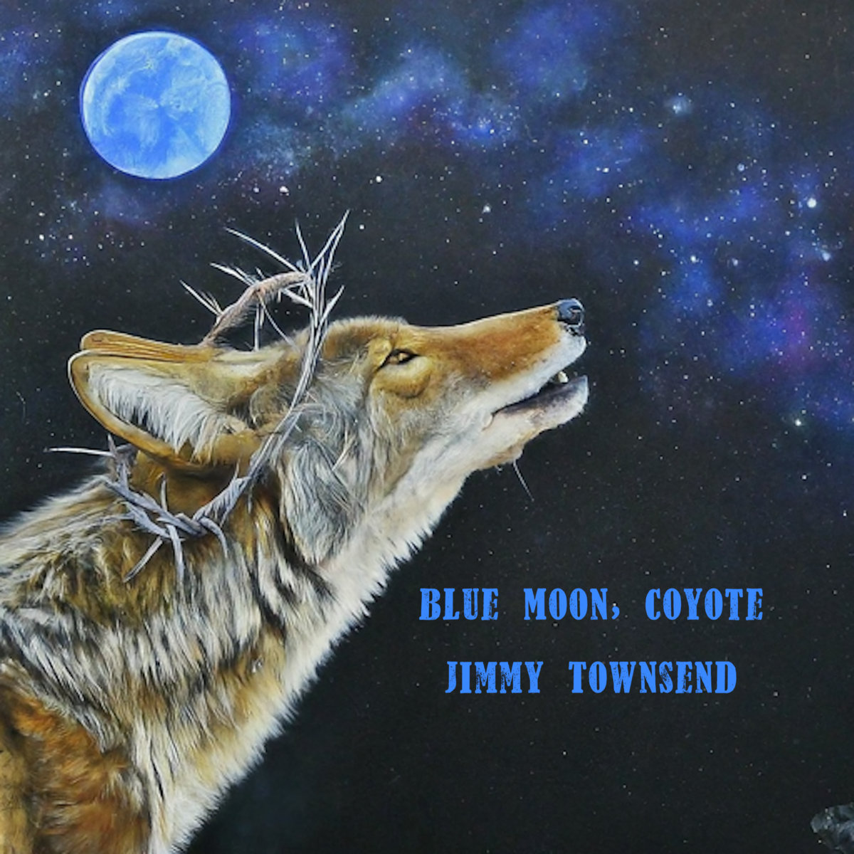 Blue Moon, Coyote | Jimmy Townsend