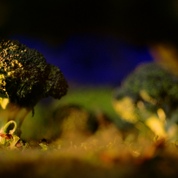 Woods of Broccoli (Digital) | Benjamin Finger