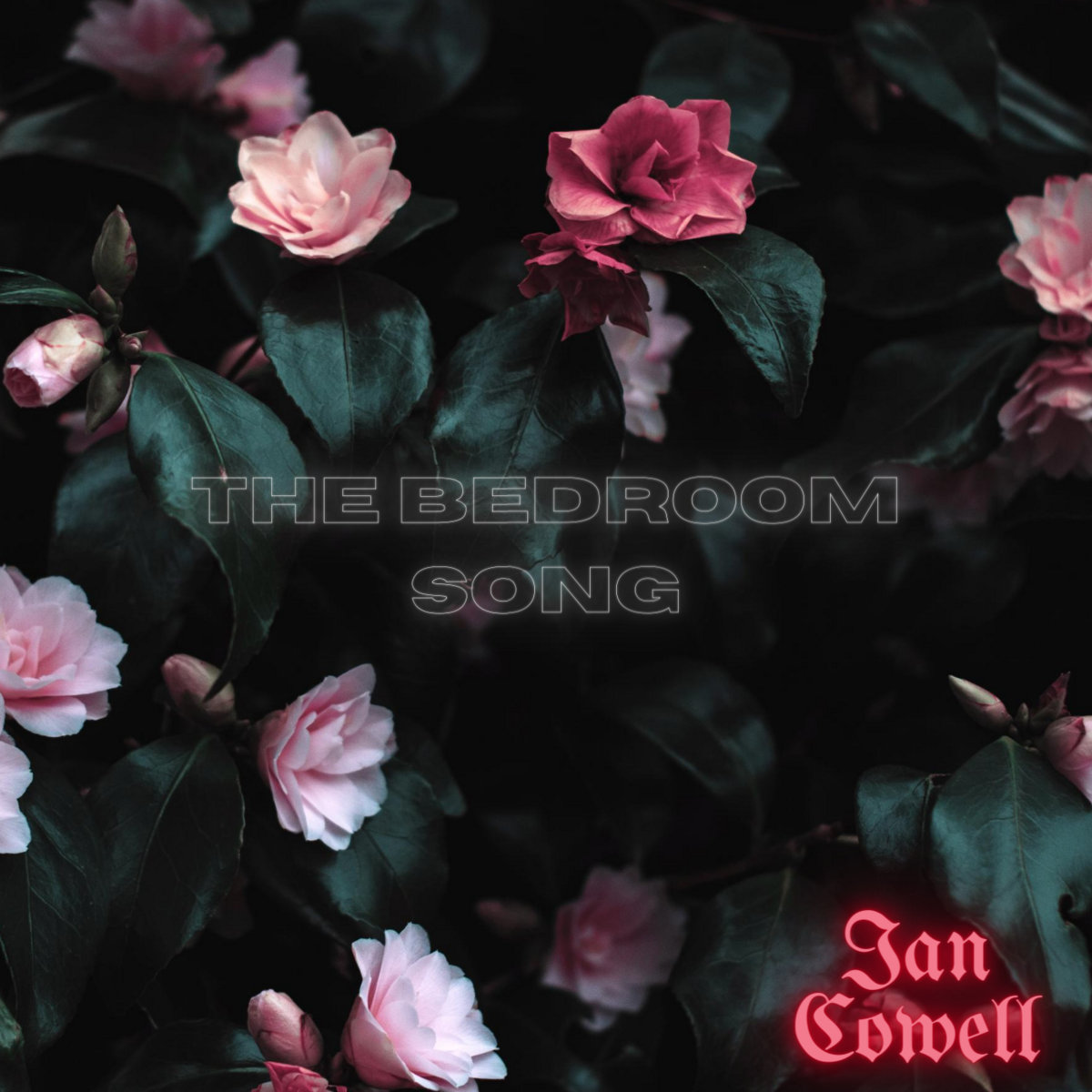 The Bedroom Song | Ian Cowell