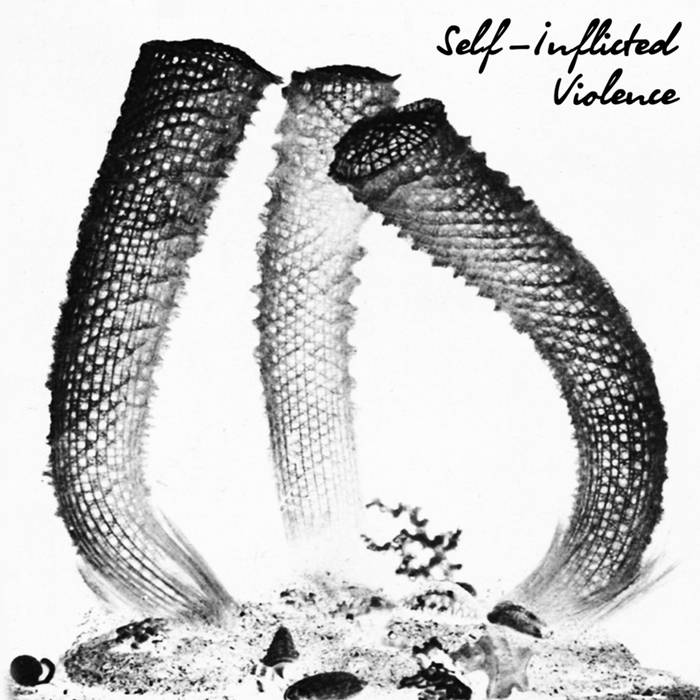 Energetic Self Perception