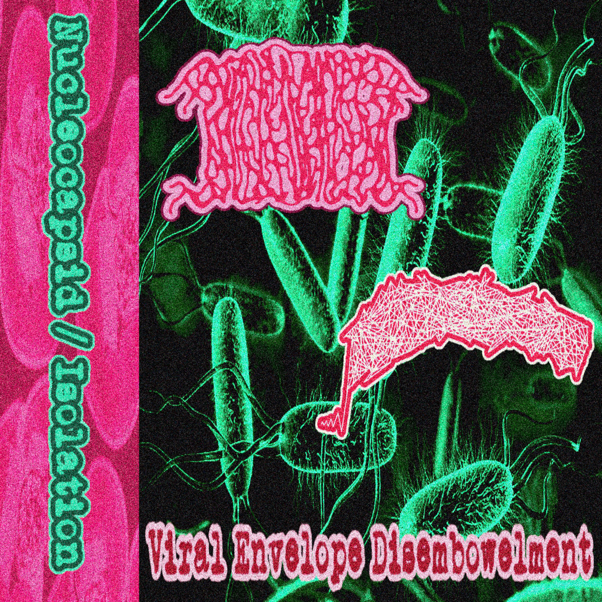 Viral Envelope Disembowelment | Nucleocapsid / Isolation | Gore ...